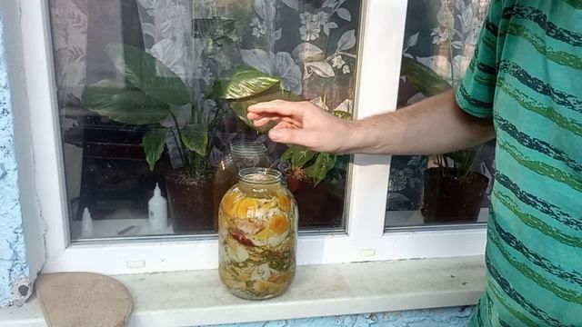 2 часть Как солить грибы   Млечник обыкновенный, Путик, Серушка,
  Lactarius trivialis,