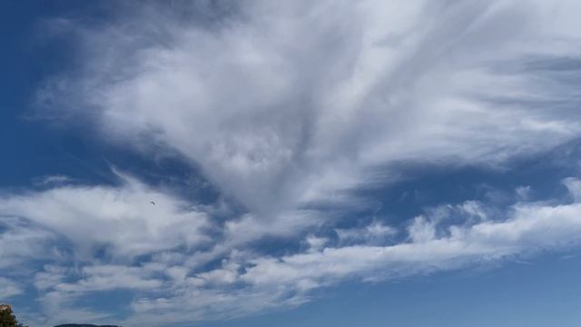 В ритме лета 2023