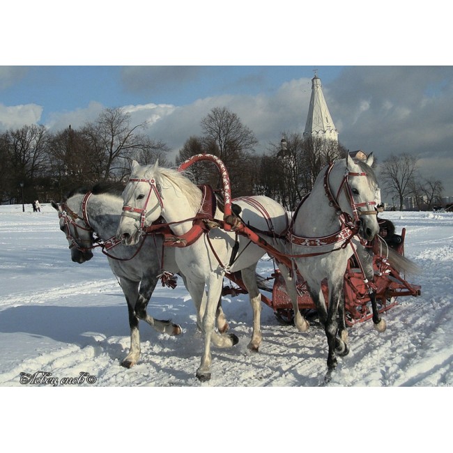 тройка почтовая SOLO ALEXANDR PROKLOV