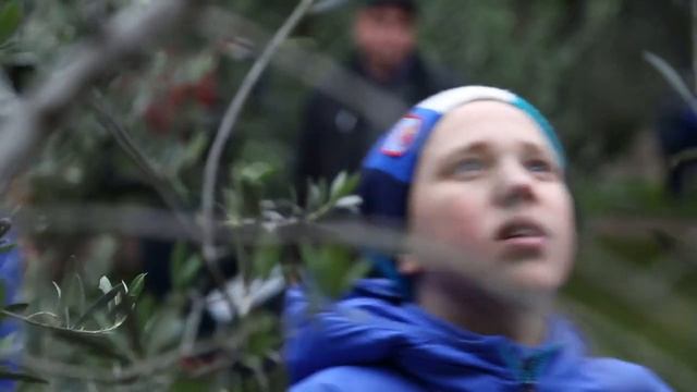 АРТЕК TV  - 2018_ ПРАЗДНИК СБОРА УРОЖАЯ МАСЛИН.mp4