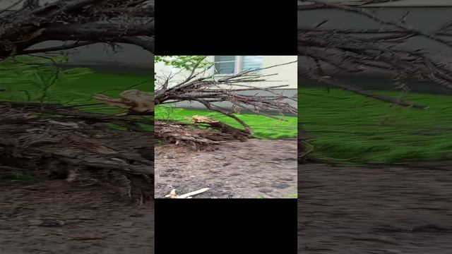 Прошёл ураган