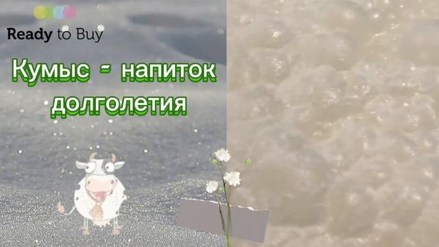 Кумыс - напиток долголетия, магазин "Фермерский продукт из Башкирии" на Ready to Buy