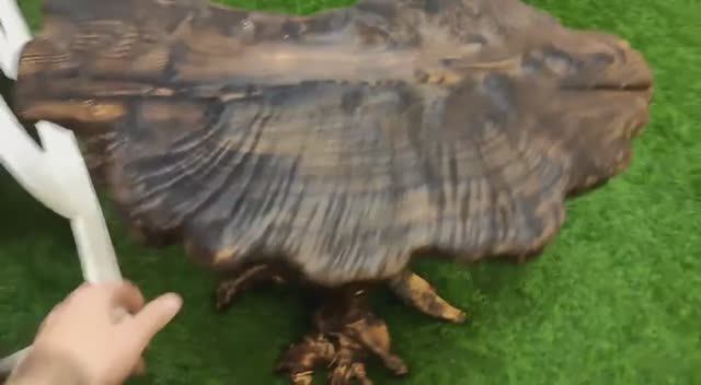 Журнальный стол из пня и сувеля своими руками.