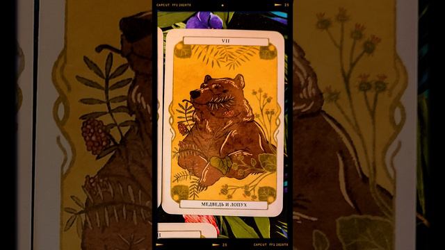 🦄 Лесные хранители 🦝🐻