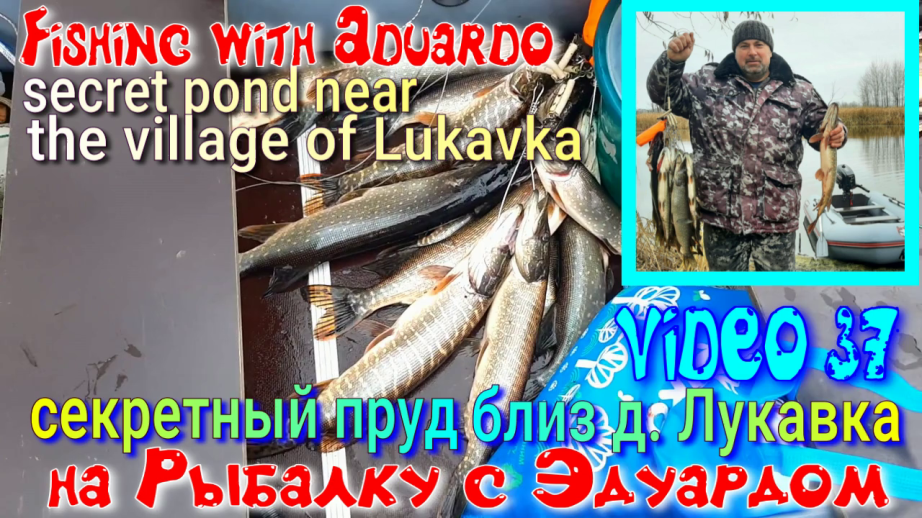 Рыбалка на Кружки. На Рыбалку с Эдуардом VIDEO 37. Ловим Щуку на Живца.