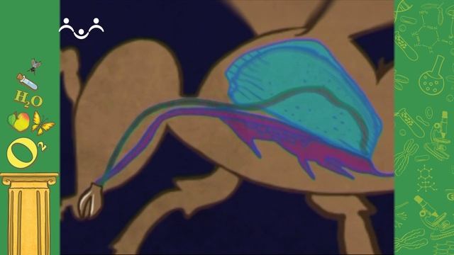 Академия Занимательных Наук. Биология. Из чего осы делают гнезда. Емшан