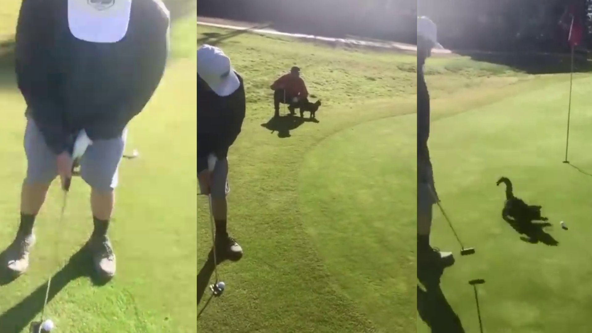 Подборка фэйлов) Смешные провалы и неудачи часть 7