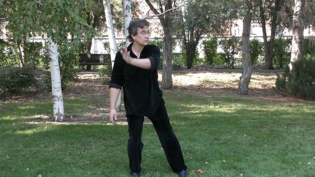 04 Таолу  стиля Орлан и барс Блокирование руками вводное