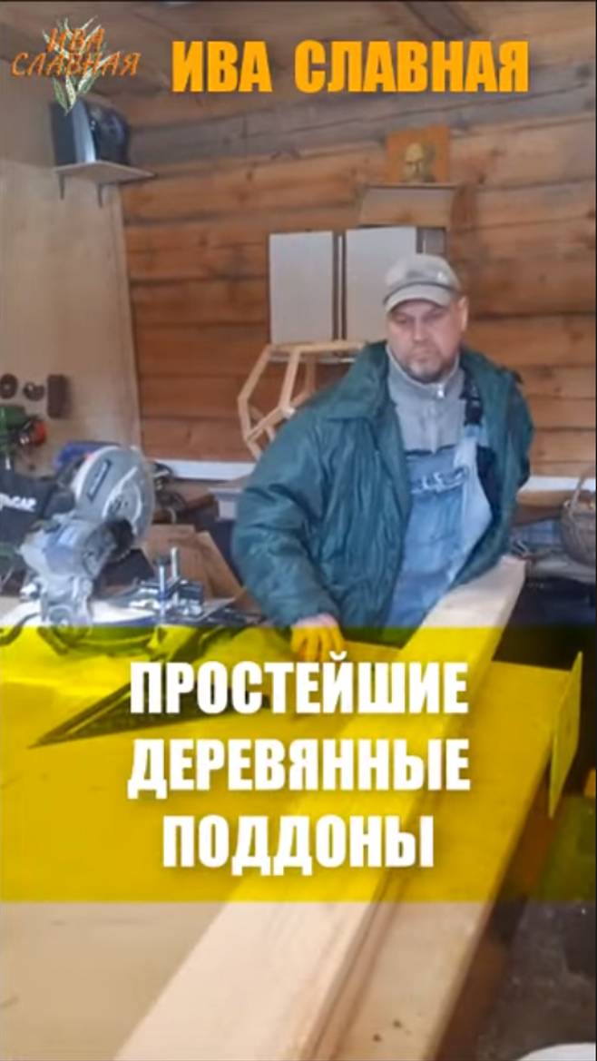 Ива Славная: Простейшие поддоны (17.03.2024)