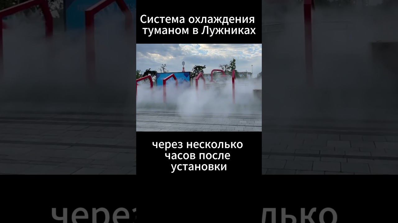 Туманизатор в Лужниках