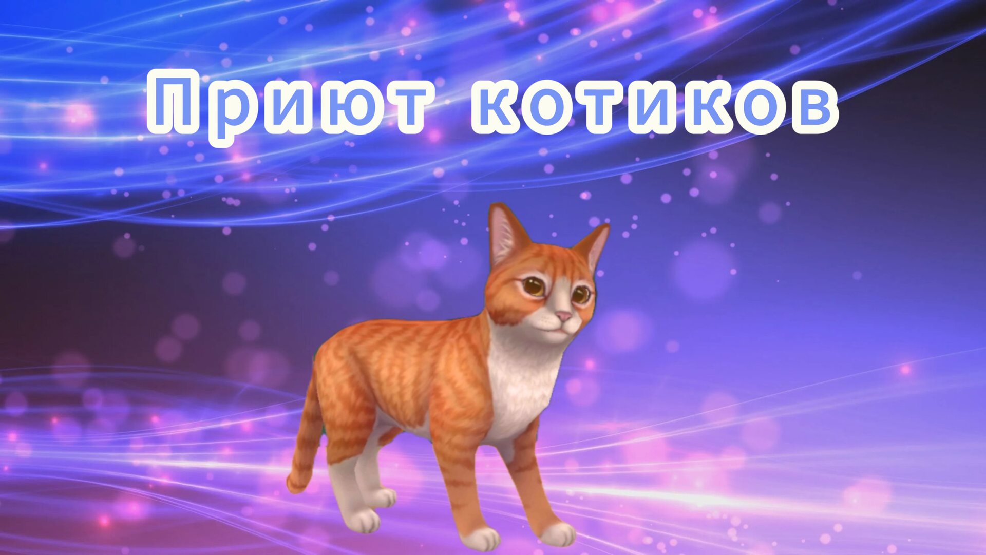 Приют Кошек