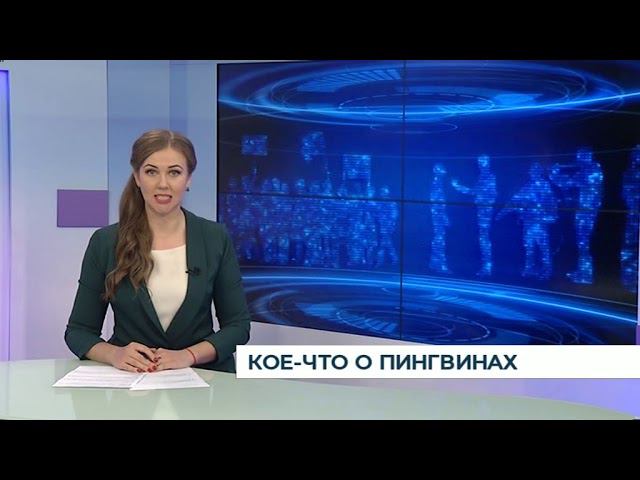 Выпуск 20.01.20 (часть 2)