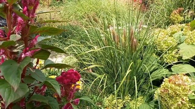 Посылка Моей Победительнице Светлане..mp4