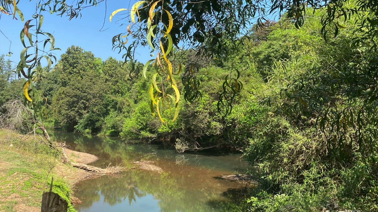 настройка на лучшее состояние / медитация из Индии