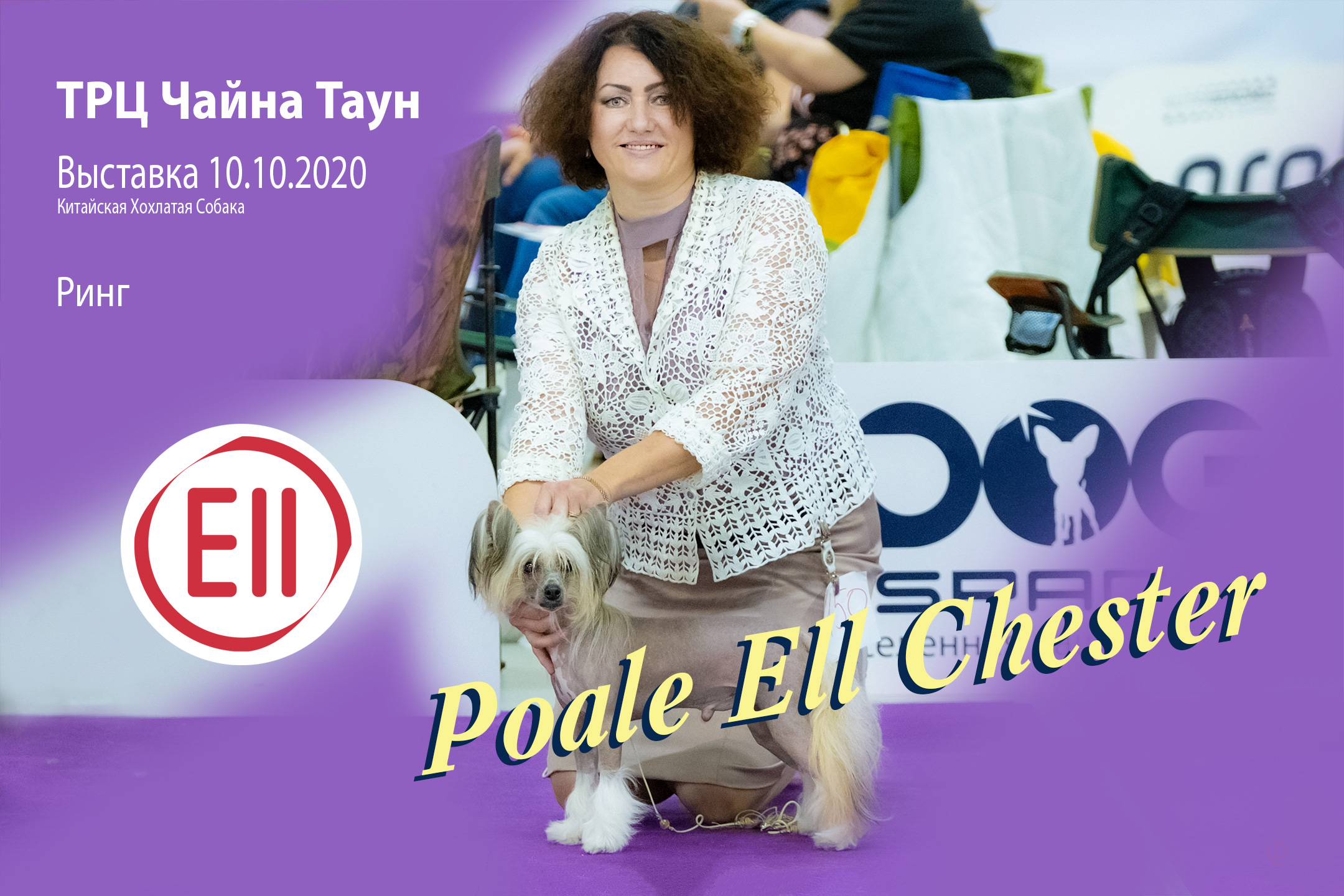 Ринг. Китайская Хохлатая Собака