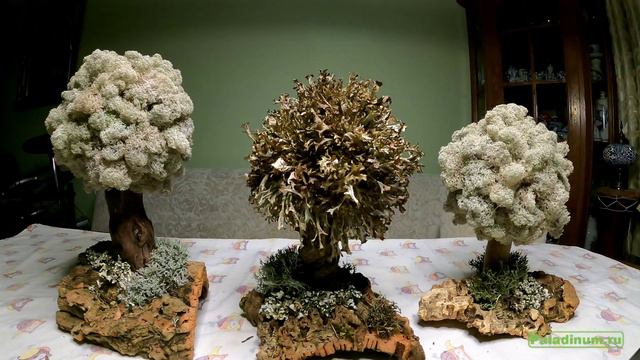 Деревья из мха