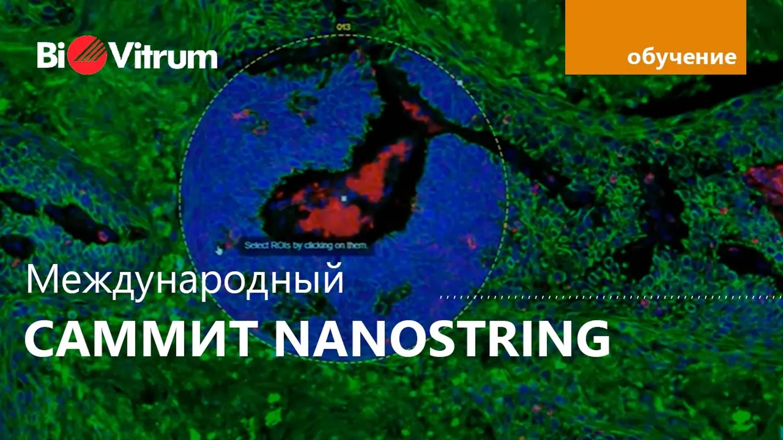 Саммит NanoString 2020