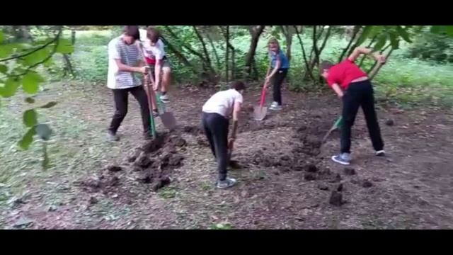 Компостирование листьев