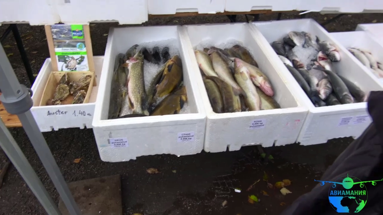 Таллин Рыбный рынок Kalaturg | #Авиамания