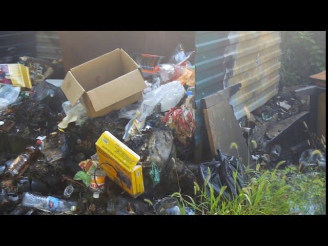 Иваны без родства