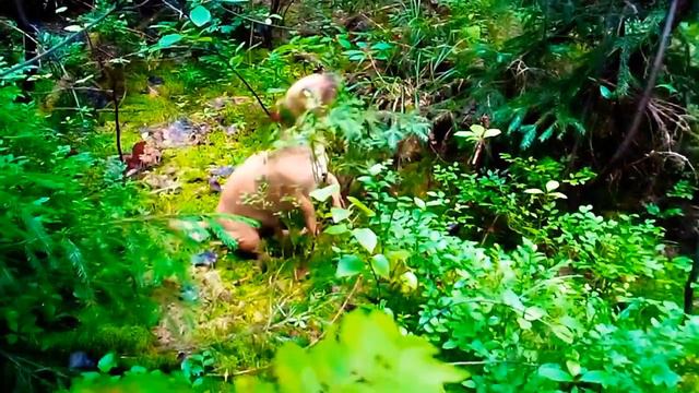 сбор черники