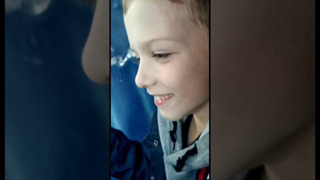 МОЙ БРЯНСК | АТТРАКЦИОНЫ