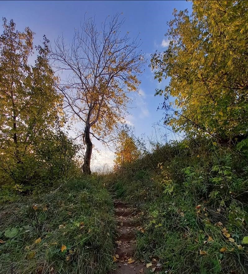 02 Озеро Провал - 2021. Дрожь земли. История озера. Фильм - 2. Усть-Кишерть