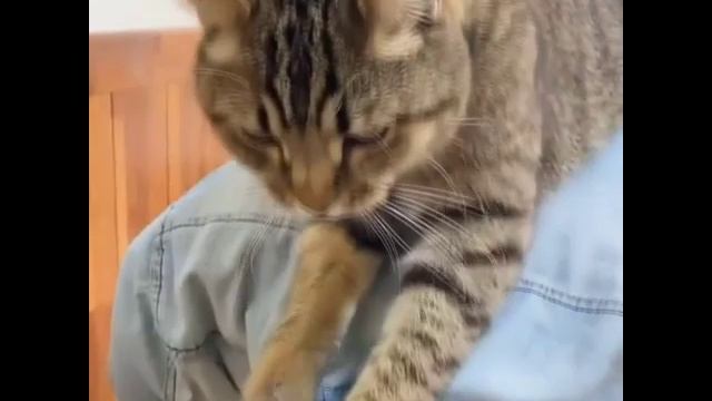 КОМЕДИЯ РОК  Помню я