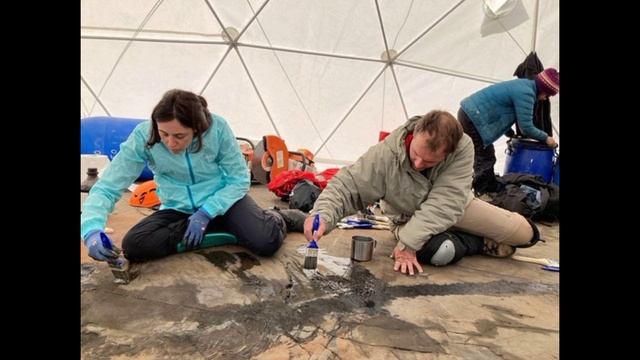 В Чили найден гигантский беременный ихтиозавр.mp4