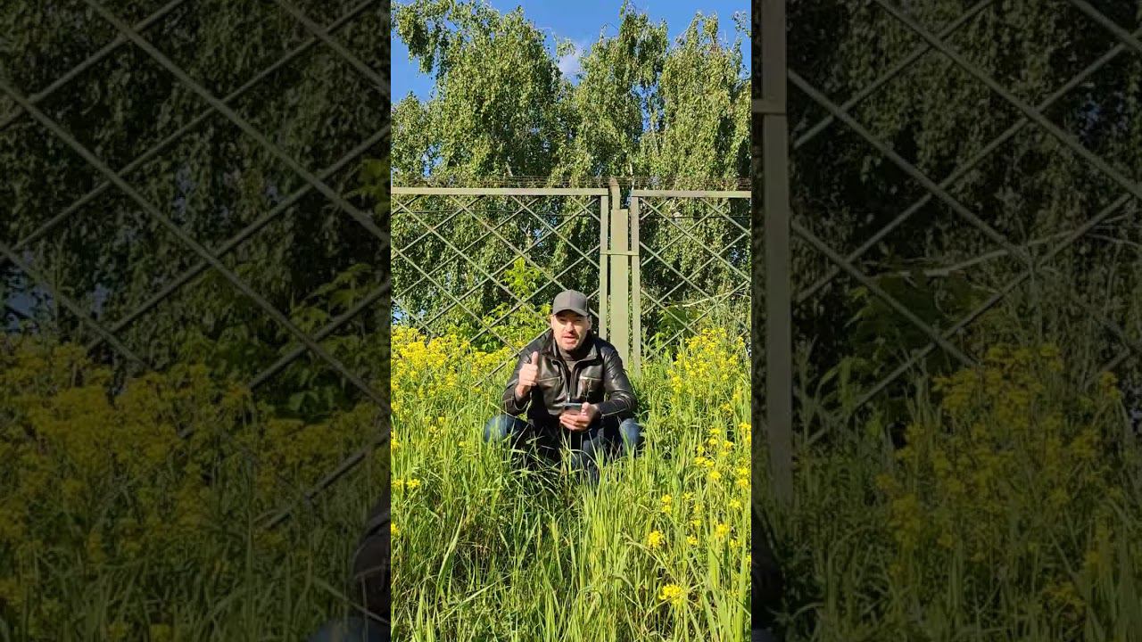 Алексей Кольчугин. Роза Ветров. Глава V. "Если ты сможешь повторить за мной..."