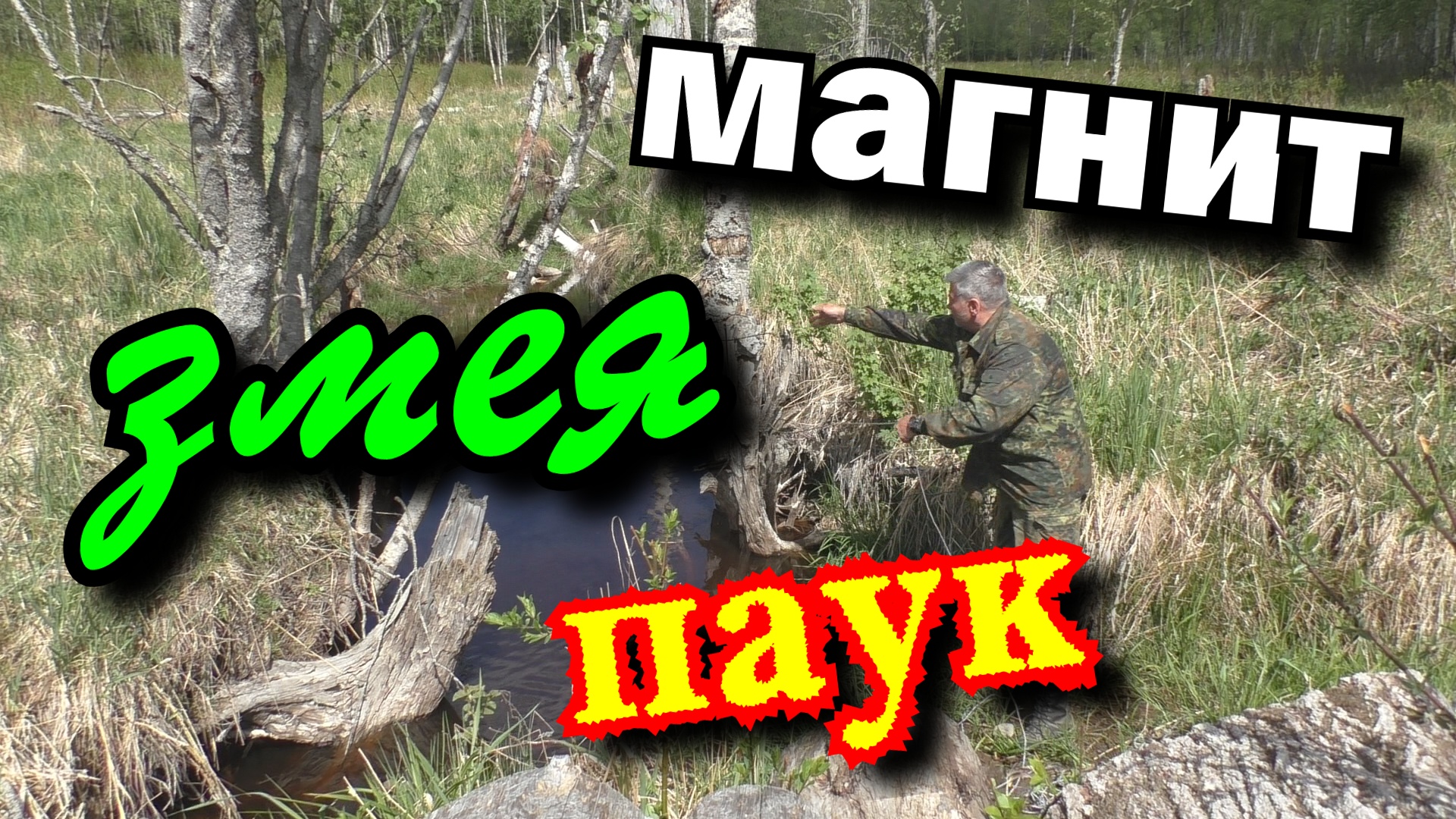 Змея-мумия и магнитная рыбалка