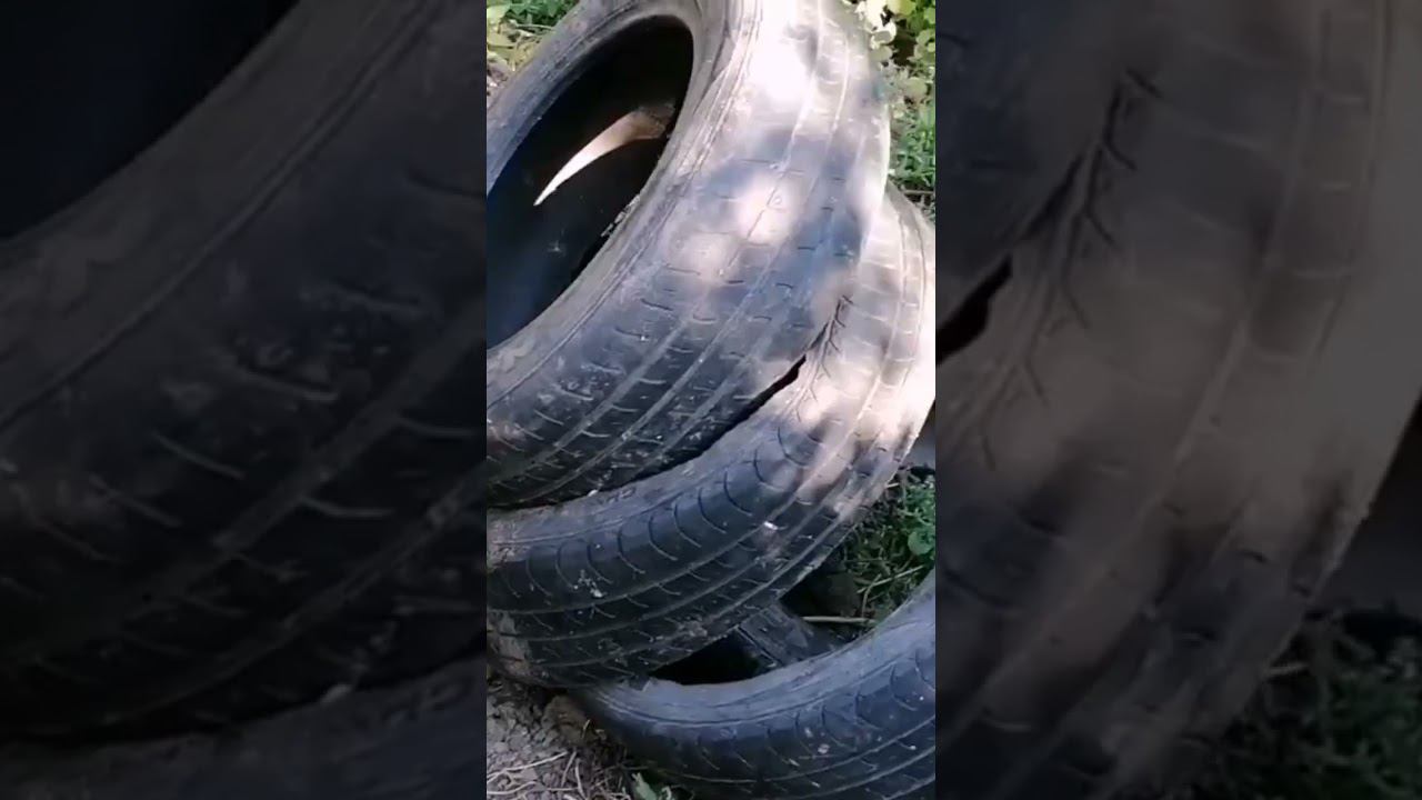 Как сделать так, чтобы канализационная яма никогда не наполнялся.