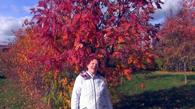 "ПЁСТРОЕ УБРАНСТВО" (сл.-Наталия Канчева-Хинова; пер., муз.-Анатолий Пережогин) поёт Раиса Криницкая