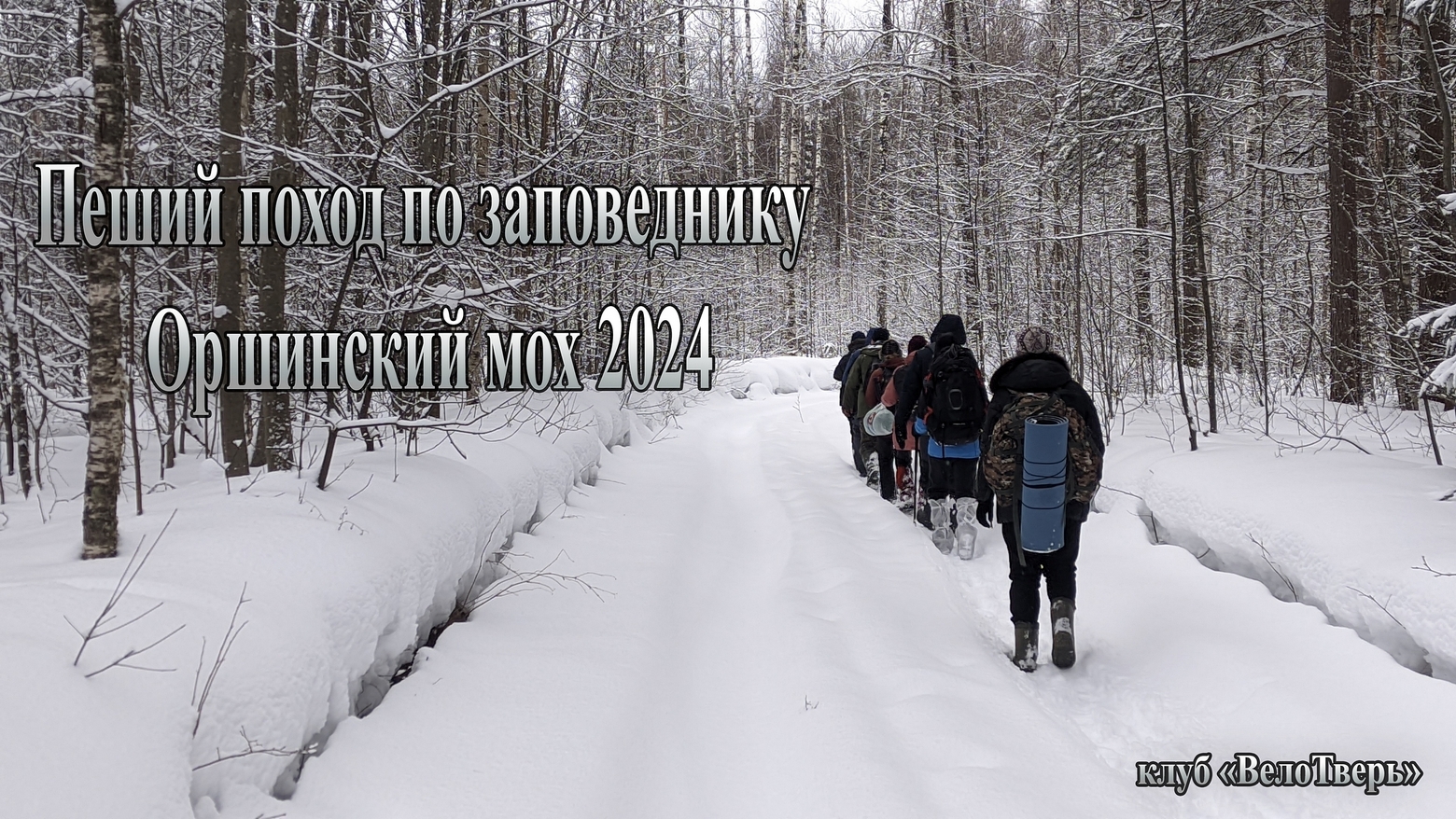 Пеший поход по заповеднику Оршинский мох 24