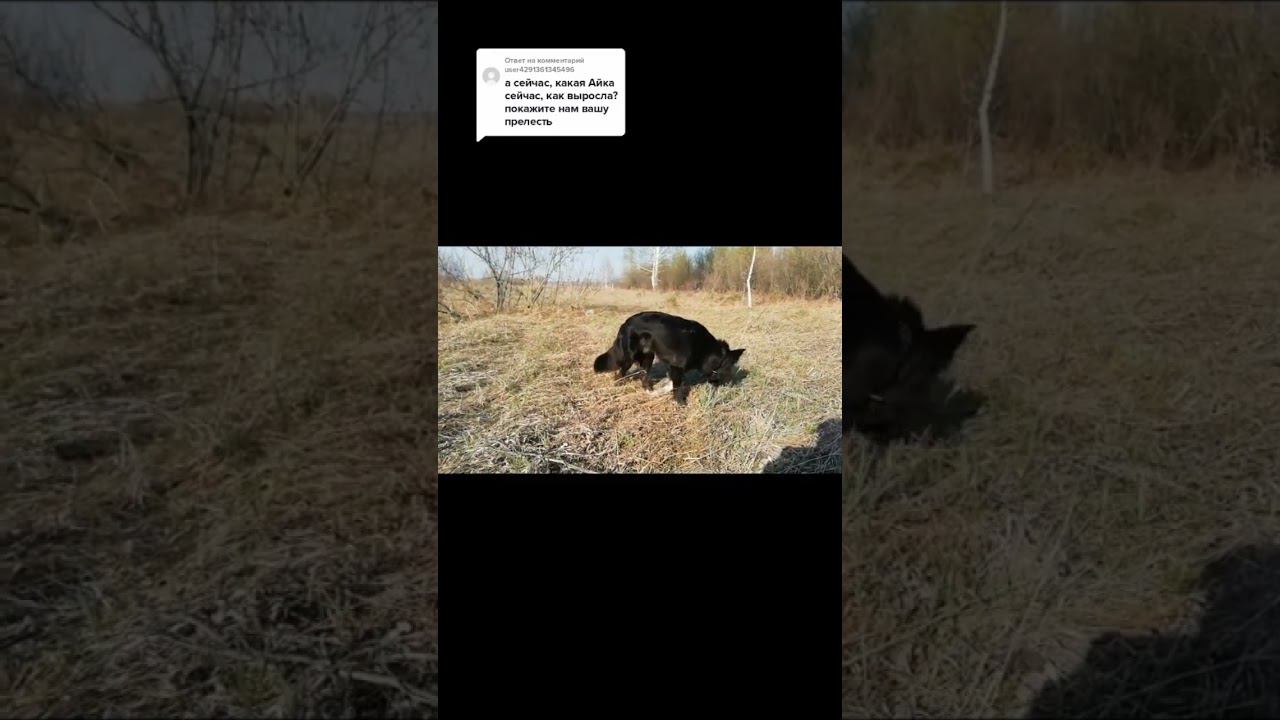 Айка выросла Летний архив😊