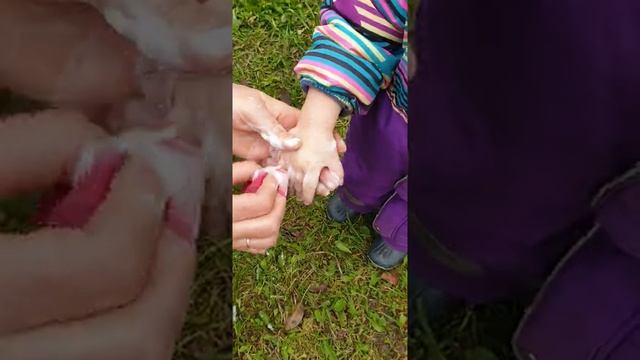 #shorts уляпался