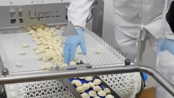 Вход одного из ручейков потока пельменей в спиральный фризер