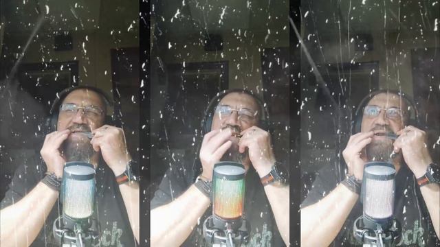 Три варгана  Remix  Pink Floyd "DOGS OF WAR"