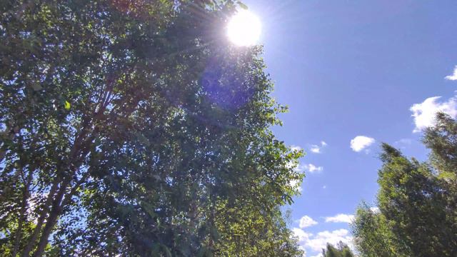 Едем на участок. Здравствуй доброе утро! Гуманный способ избавления от мышей. Favorite good morning.