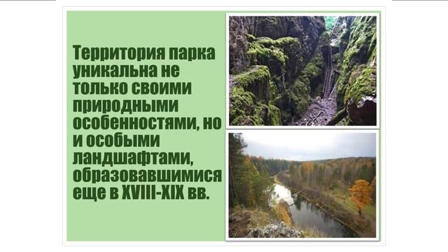 Парк "Оленьи ручьи"