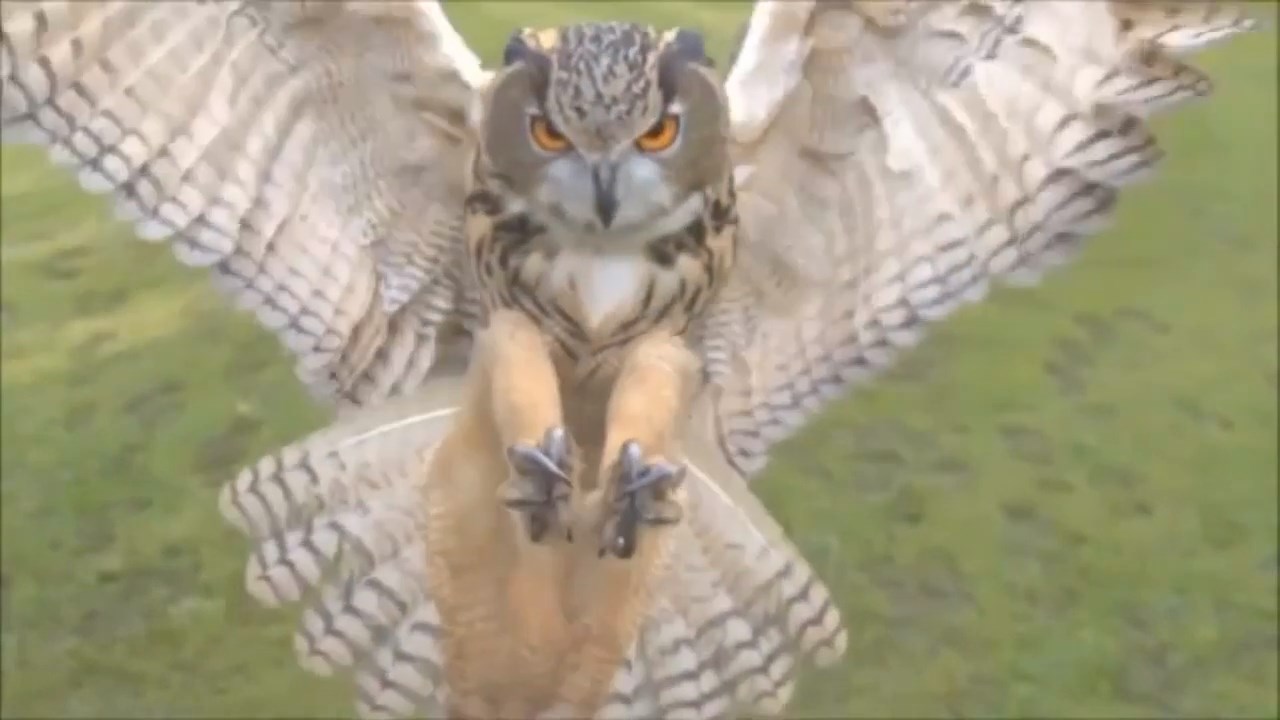 С. Прокофьев. “Танец рыцарей.”Оркестр п/у А.Жюрайтиса.