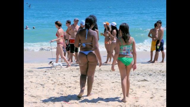 А на кошек - ноль внимания: вот это воспитание!