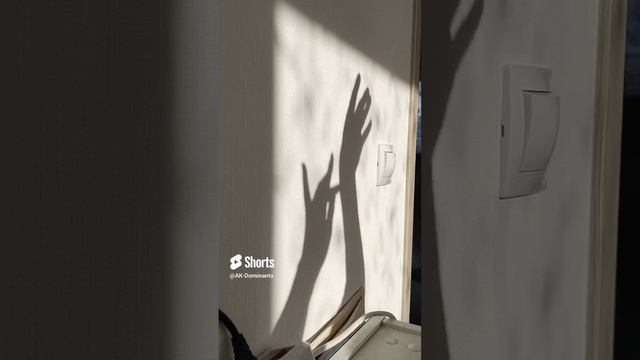 Тени в любви.