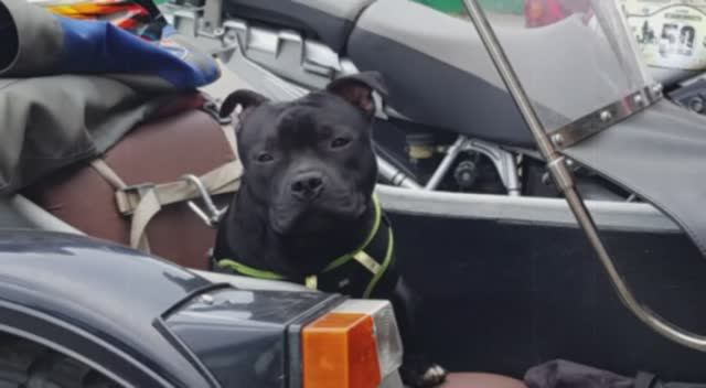 ТОТО на МОТО