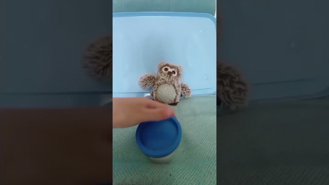 Смешные видео