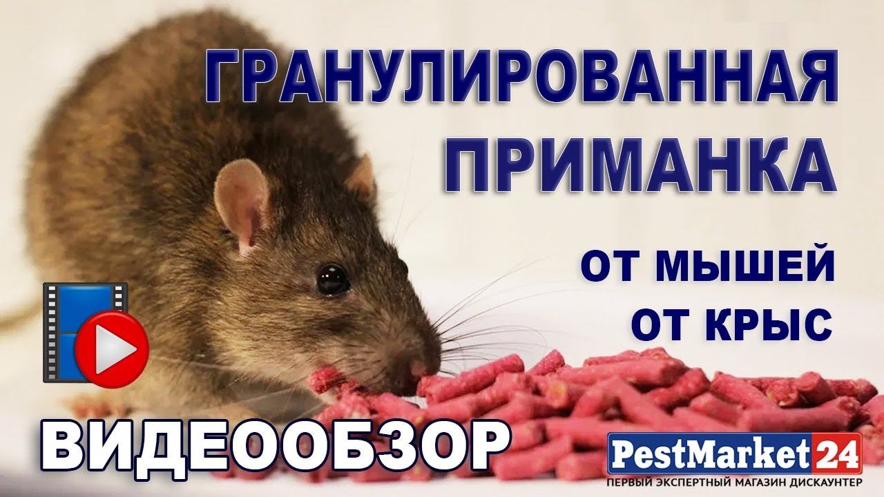 Гранулированная приманка от грызунов. Рекомендации по применению приманки от мышей, крыс. ВИДЕООБЗОР