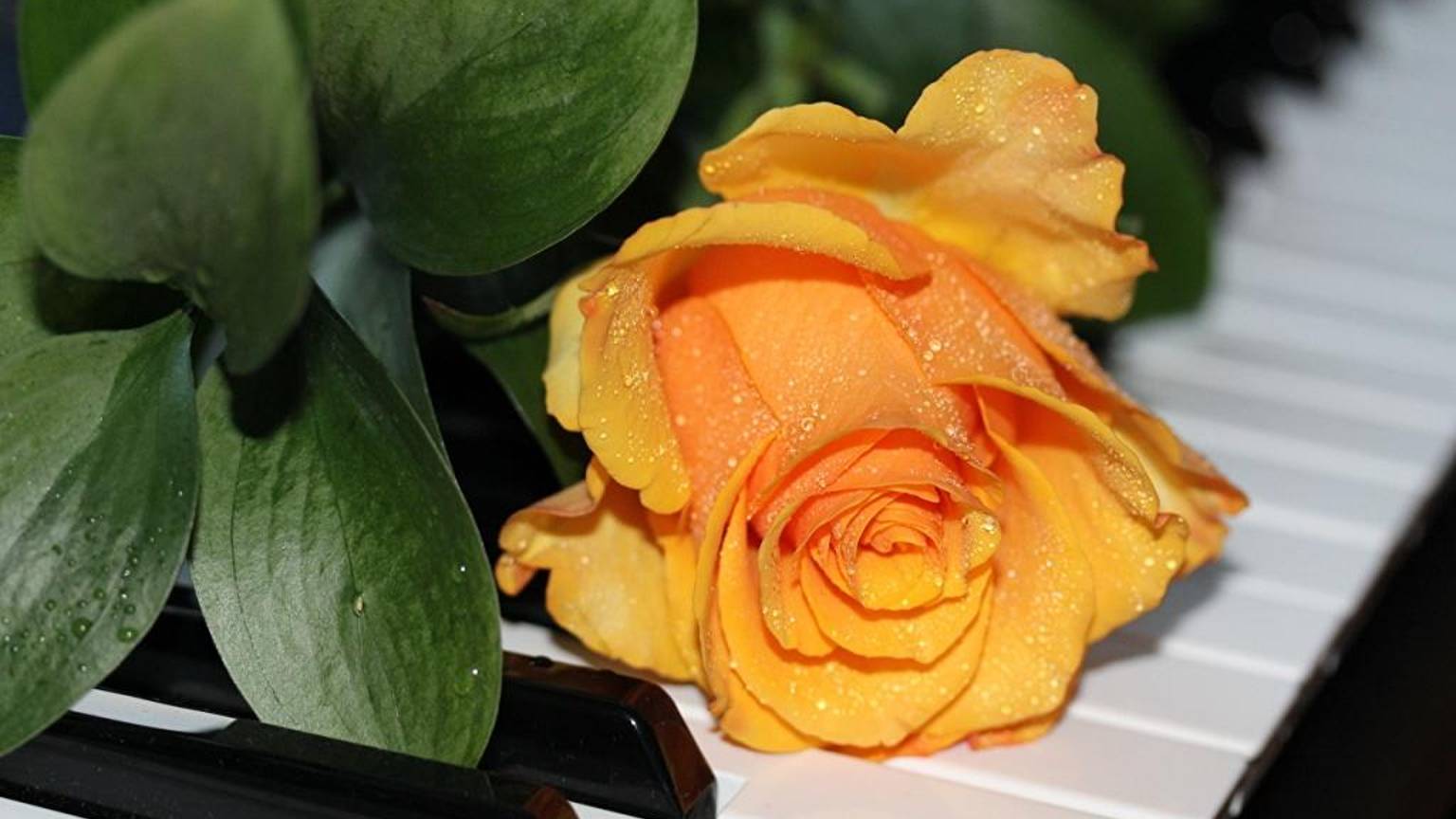 Анна Ахматова и Елена Артёменко. Композиция: "ПЕРЕПЕВ". Читает — Елена Артёменко. Запись: 2017 год