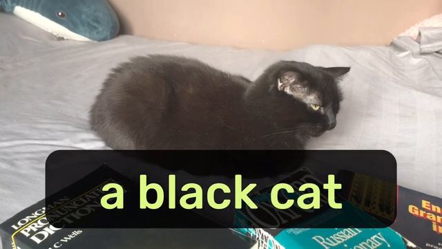 Настоящее Простое (Вопросительные предложения) / Present Simple (Questions)