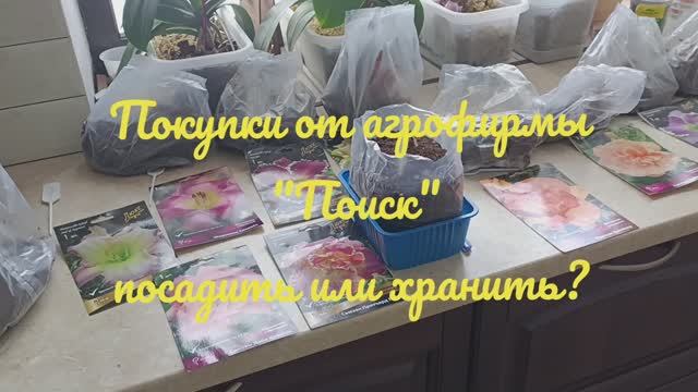 Покупки от агрофирмы "Поиск"