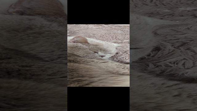 Уже знает, что делать.. ?